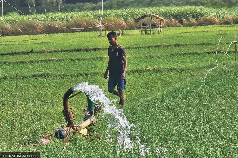 Madhesh government halts grants to 25 local units over revenue dues