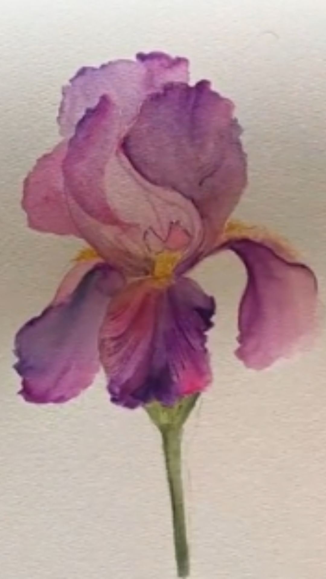 Creating beautiful watercolor irises