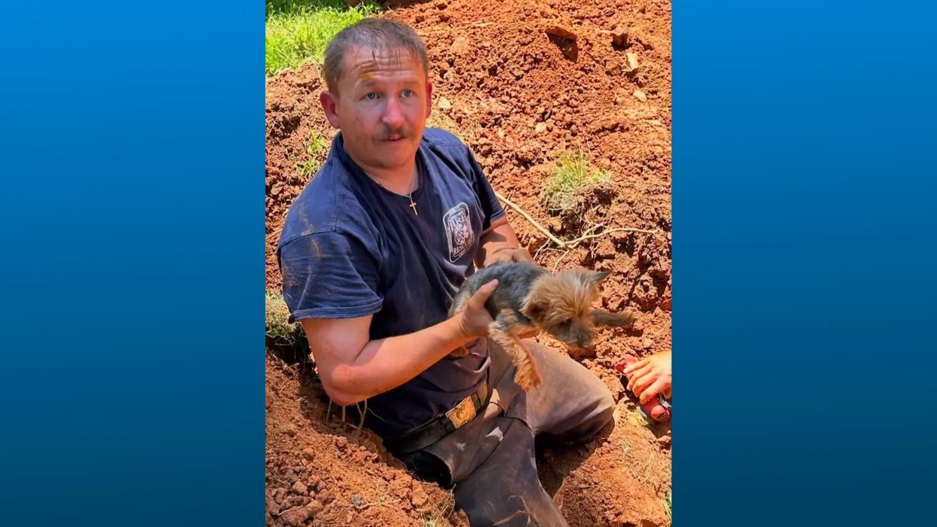 Yorkie rescued from groundhog hole