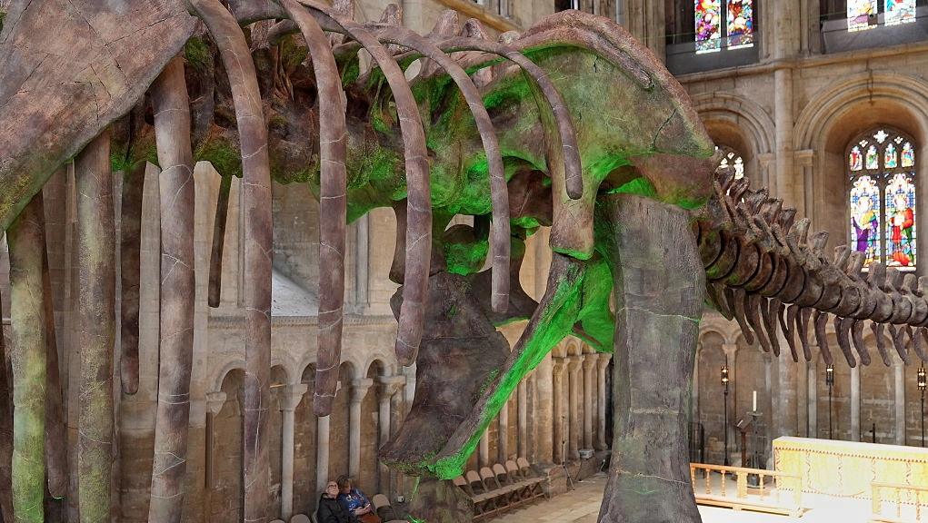 13 giant prehistoric animals across land and sea