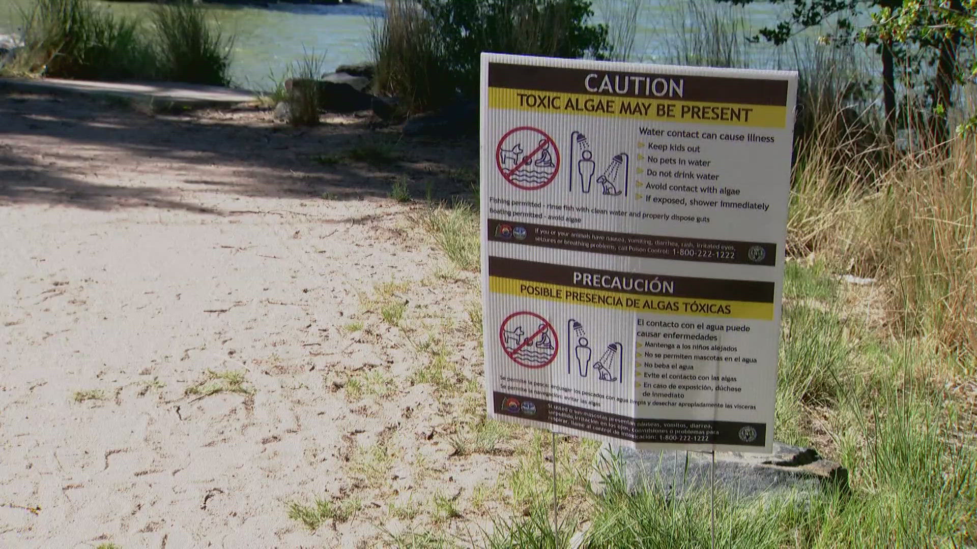 Toxic algae bloom detected at Jackson Lake prompting water warnings