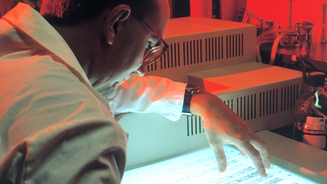 Scientists link IBD risk gene to immune system 'brake' failure