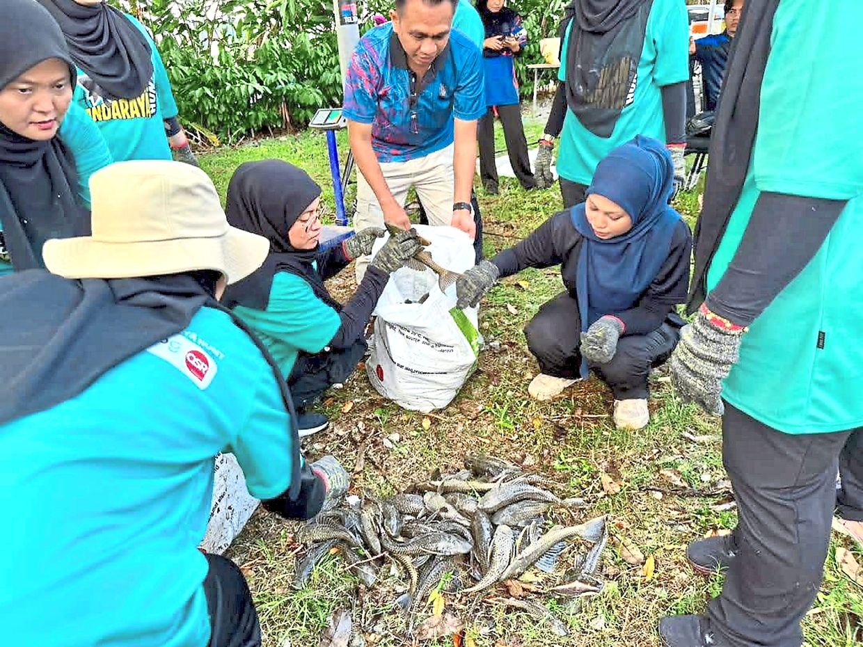 ‘Non-native fish can harm ecosystem’