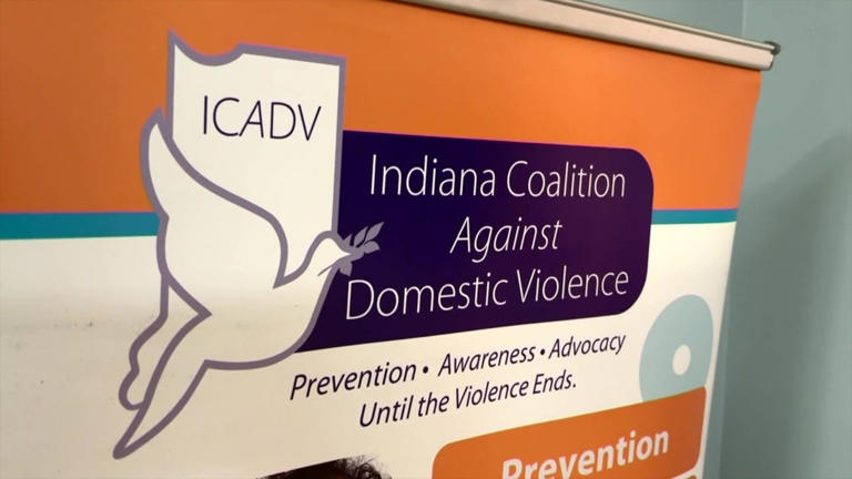 'It's heartbreaking': Domestic violence programs turning victims away ...