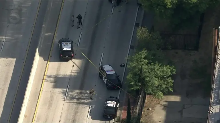 Person dies after being shot by CHP officer on LA freeway