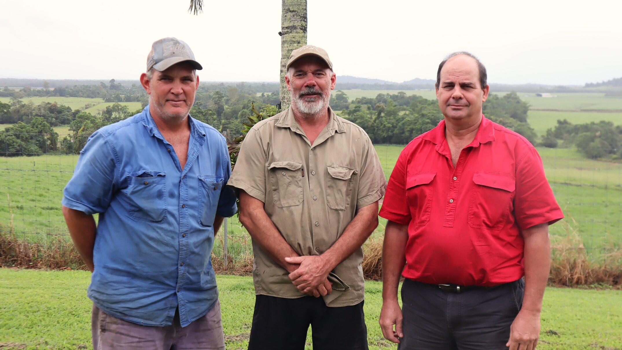 Cassowary Coast graziers seek legal advice over three-year council ...