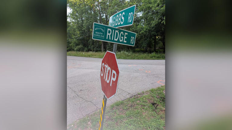 Child struck by vehicle while riding bike in Wellford