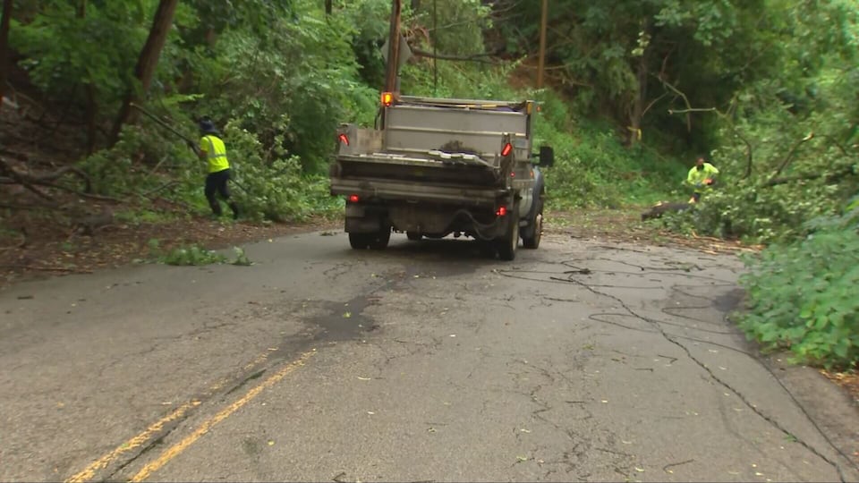 Downed tree blocks street in Mount Washington during severe storms
