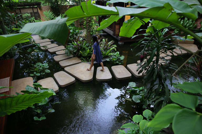 Why gut health retreats are emerging as one of wellness travel's ...