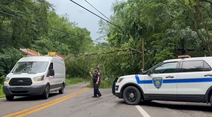 Heavy winds bring down trees and power lines