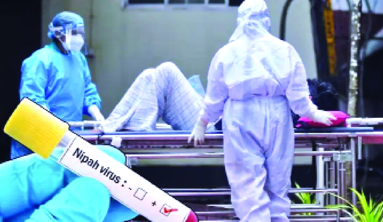 Nipah infection reported in Kerala's Kozhikode, 77 contacts identified