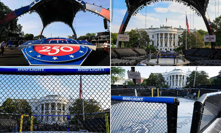 The eye-popping total cost for Trump's UFC fight White House ...