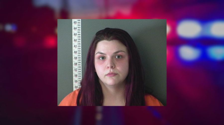 Factoryville woman sentenced for theft-related charges