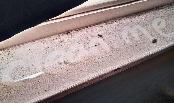 I keep dust off skirting boards and windowsills with one item I buy at ...