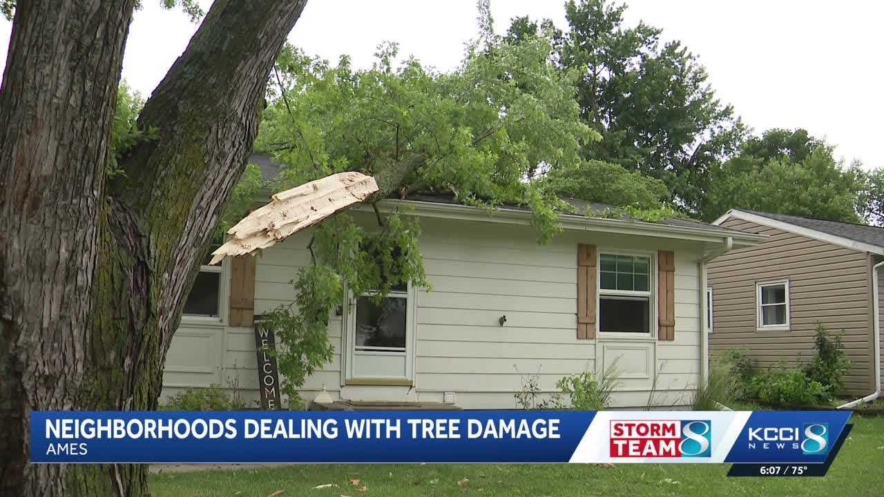 Storm damage leaves Ames residents cleaning up Thursday