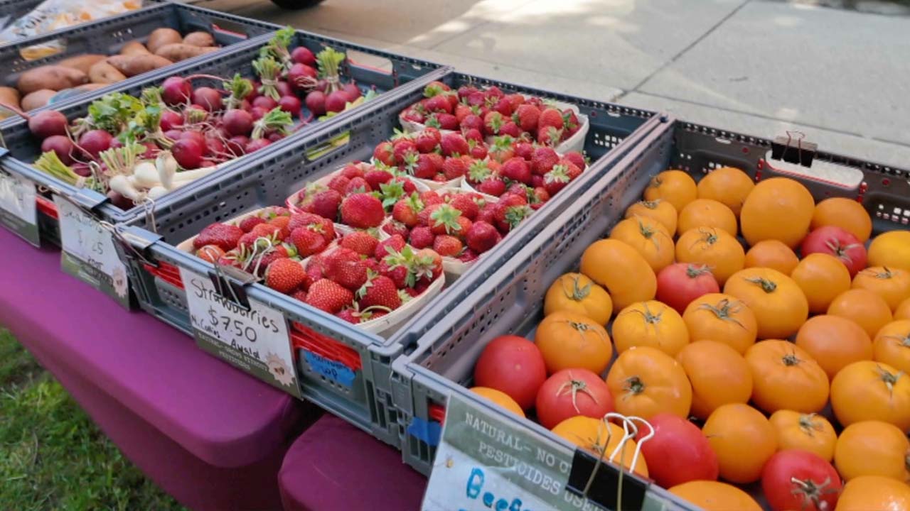 Buffalo urban farm helping to combat skyrocketing cost of fresh produce ...