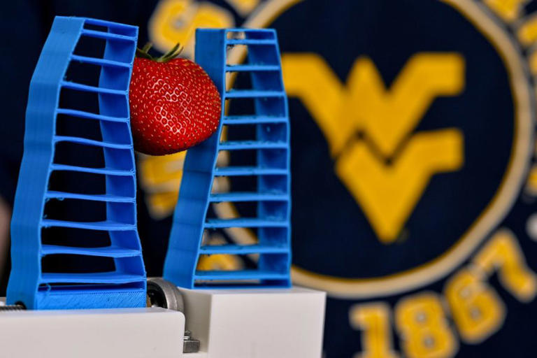 Soft and squishy robot hand developed at WVU targets delicate fruit ...