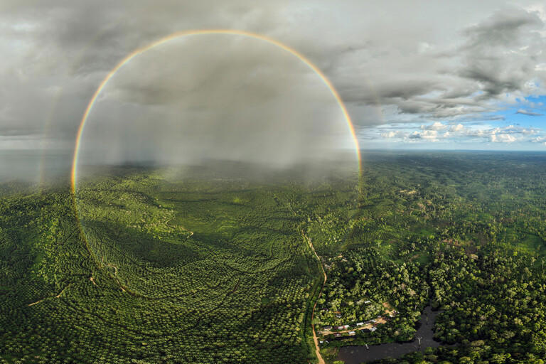Southeast Asian nations chart important new course toward environmental ...