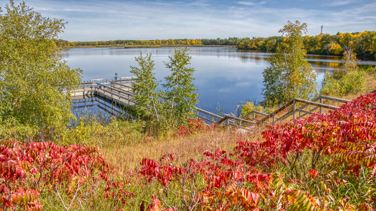 Minnesota's largest state park observation tower is in a lakeside ...