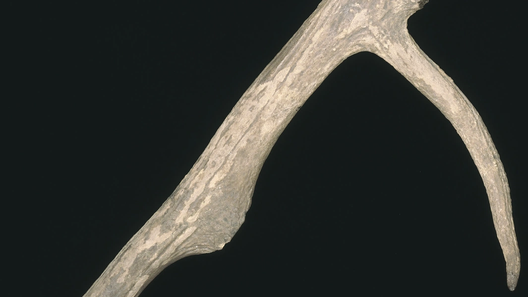Ancient antler reveals Mesolithic life and rituals