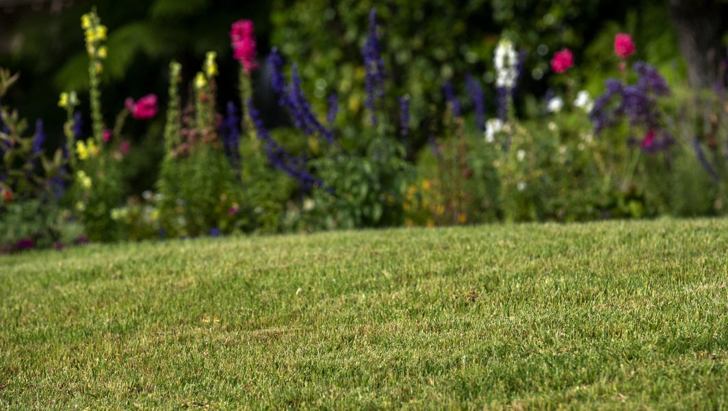 13 lawn mower mistakes that damage grass and equipment