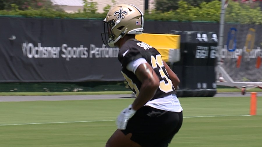 NFL legend Ed Reed shares tips for Saints’ Jonas Sanker as he ...