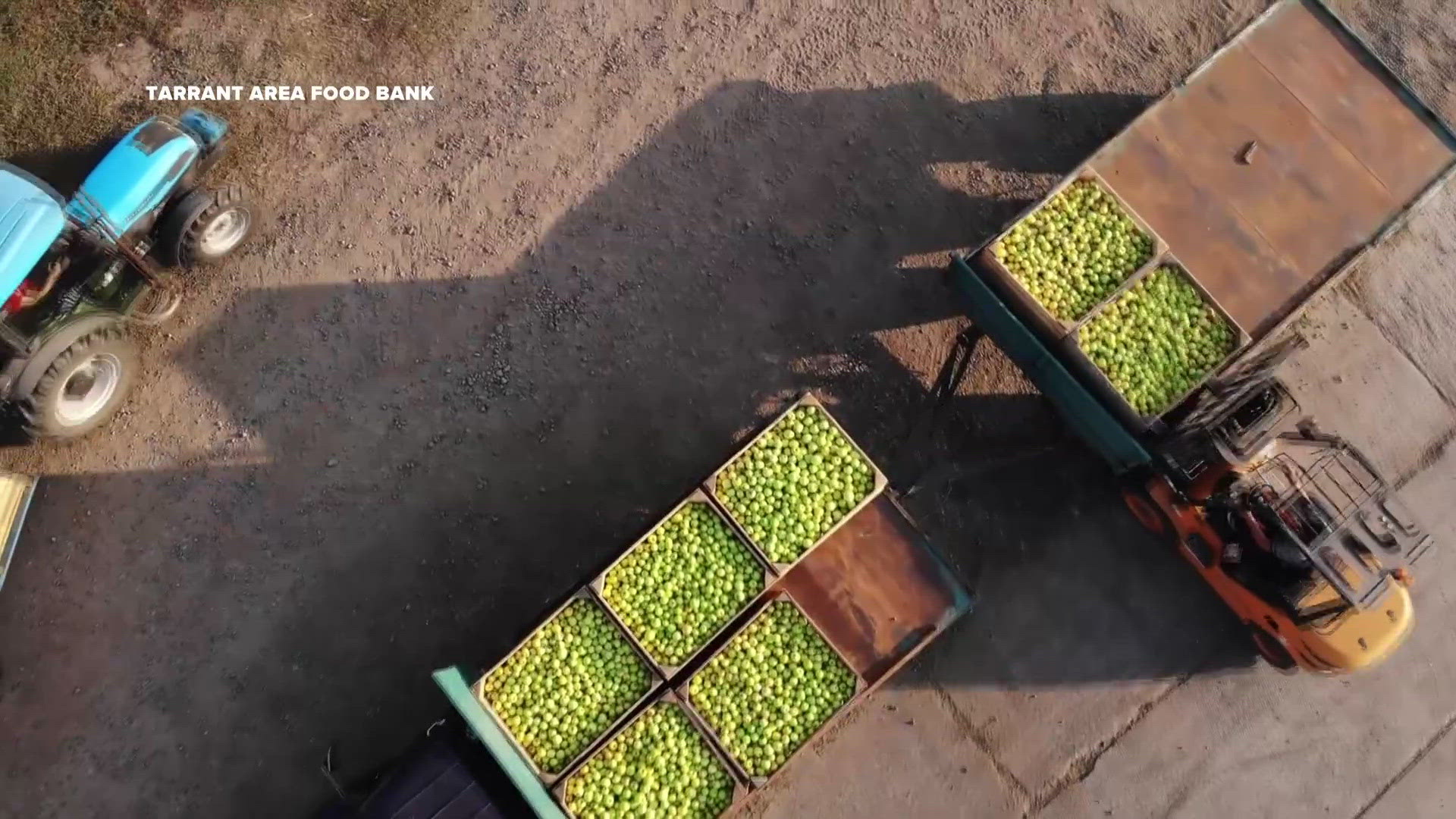 Tarrant Area Food Bank CEO joins WFAA to talk hunger in North Texas