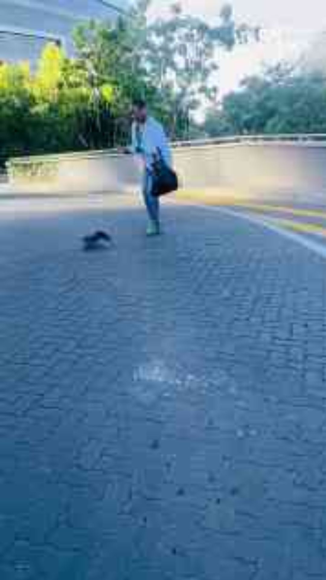 Witness the power of kindness: A woman helps an injured bird in need