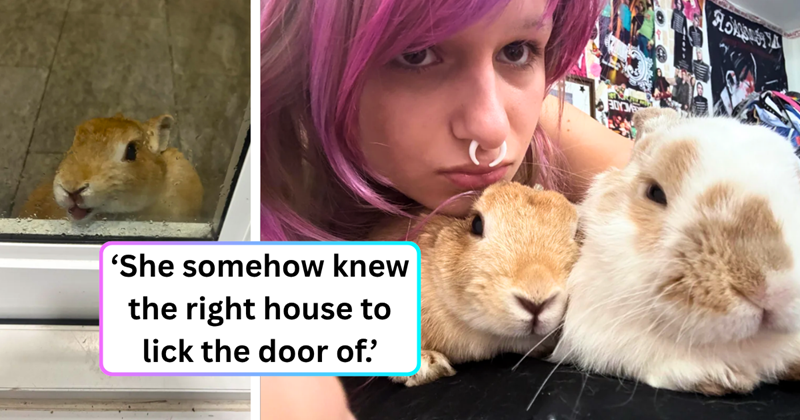 'That's so rare for a bunny to choose you like that.'