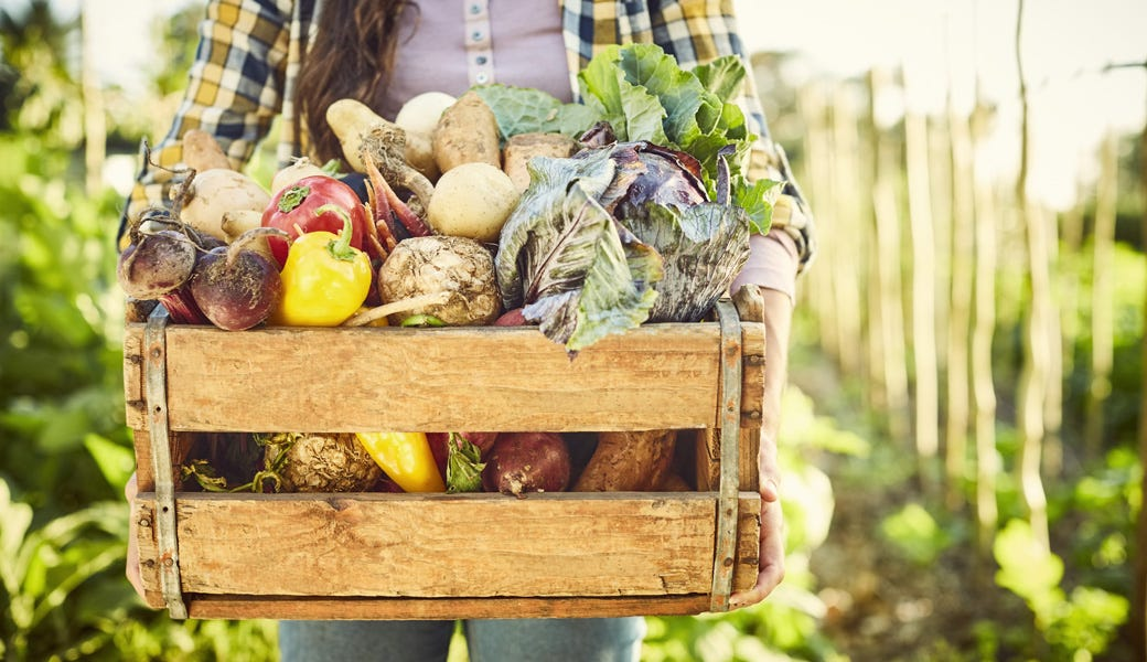 Your home harvest this year the easy way