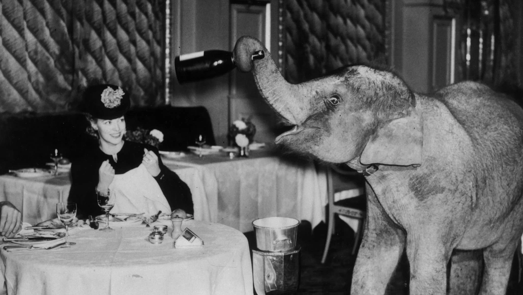 9 quirky and amusing moments from history