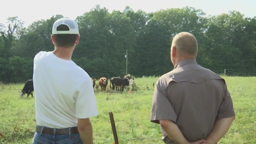 “It felt like the right thing to do”: Kentucky man donates kidney to ...