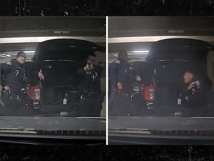 California police officer accidentally shoots another cop in 'horseplay ...