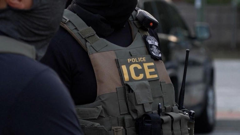 Tenn. to report information from disabled migrant children in public ...