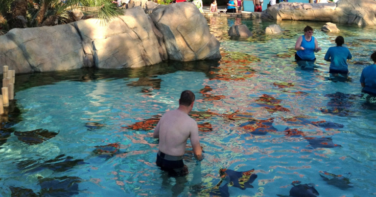 This Texas water slide travels straight through an aquarium
