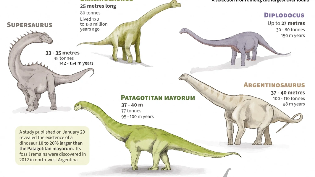 13 giant prehistoric animals across land and sea
