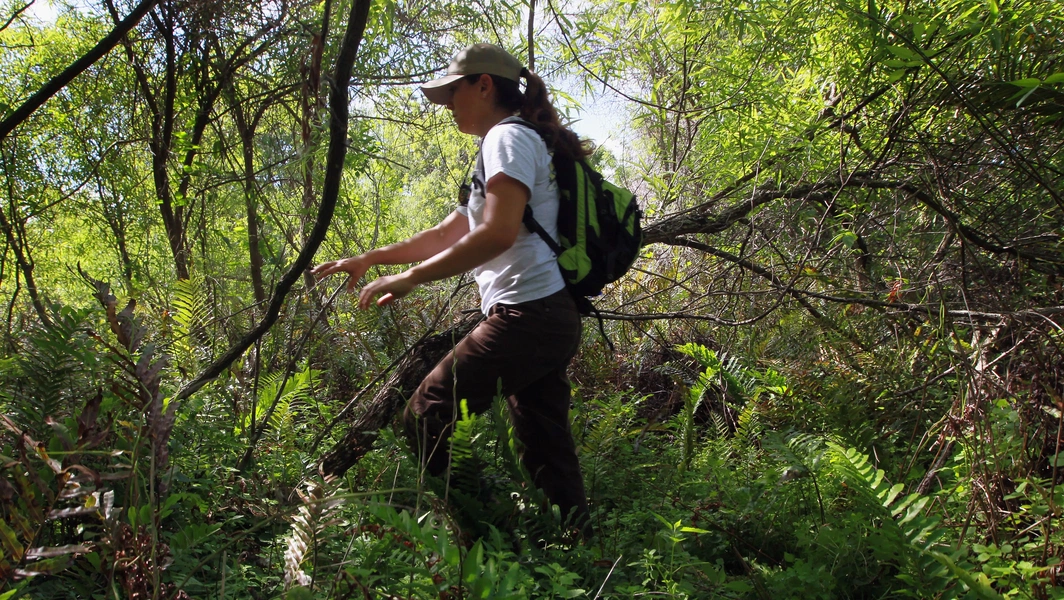 Florida conservation model praised for science-based results