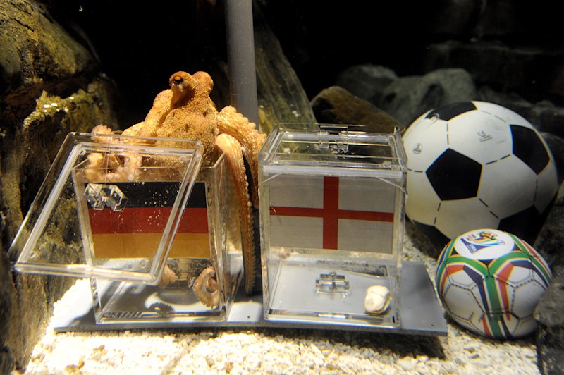 We asked our AI model to simulate the World Cup 100,000 times. Here are ...