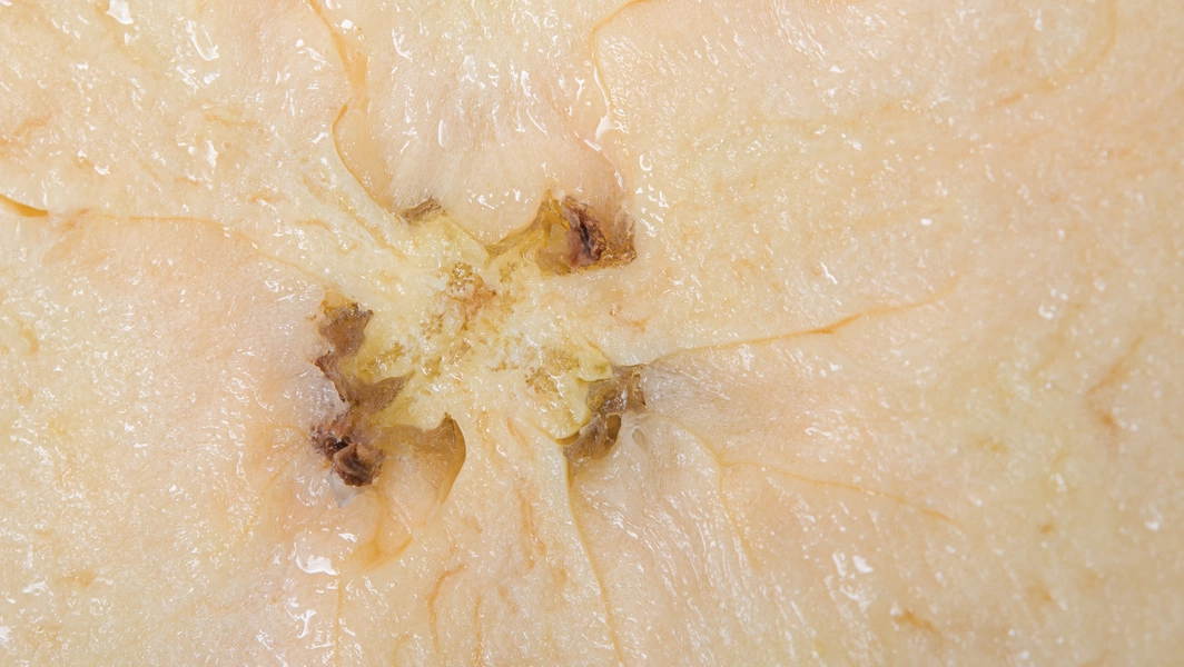 Banana magic from ripe to frozen treats