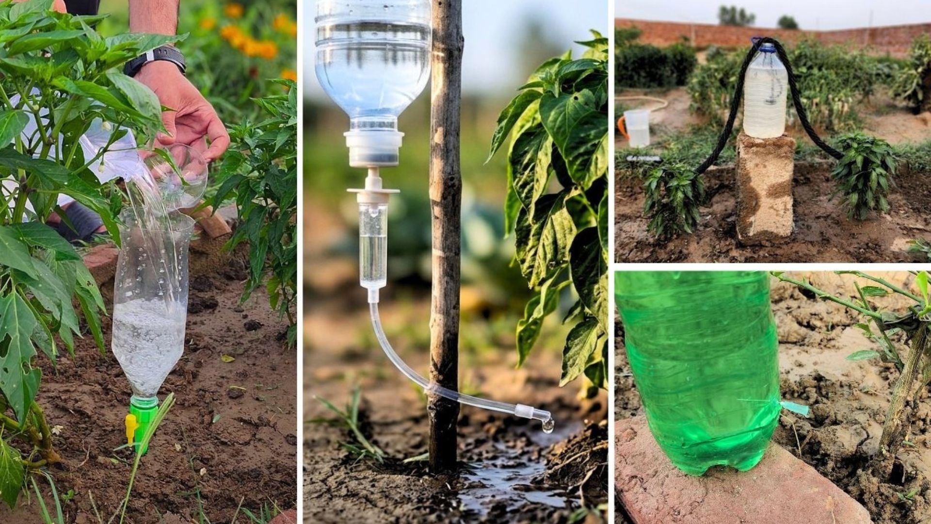 4 self watering systems every gardener should try