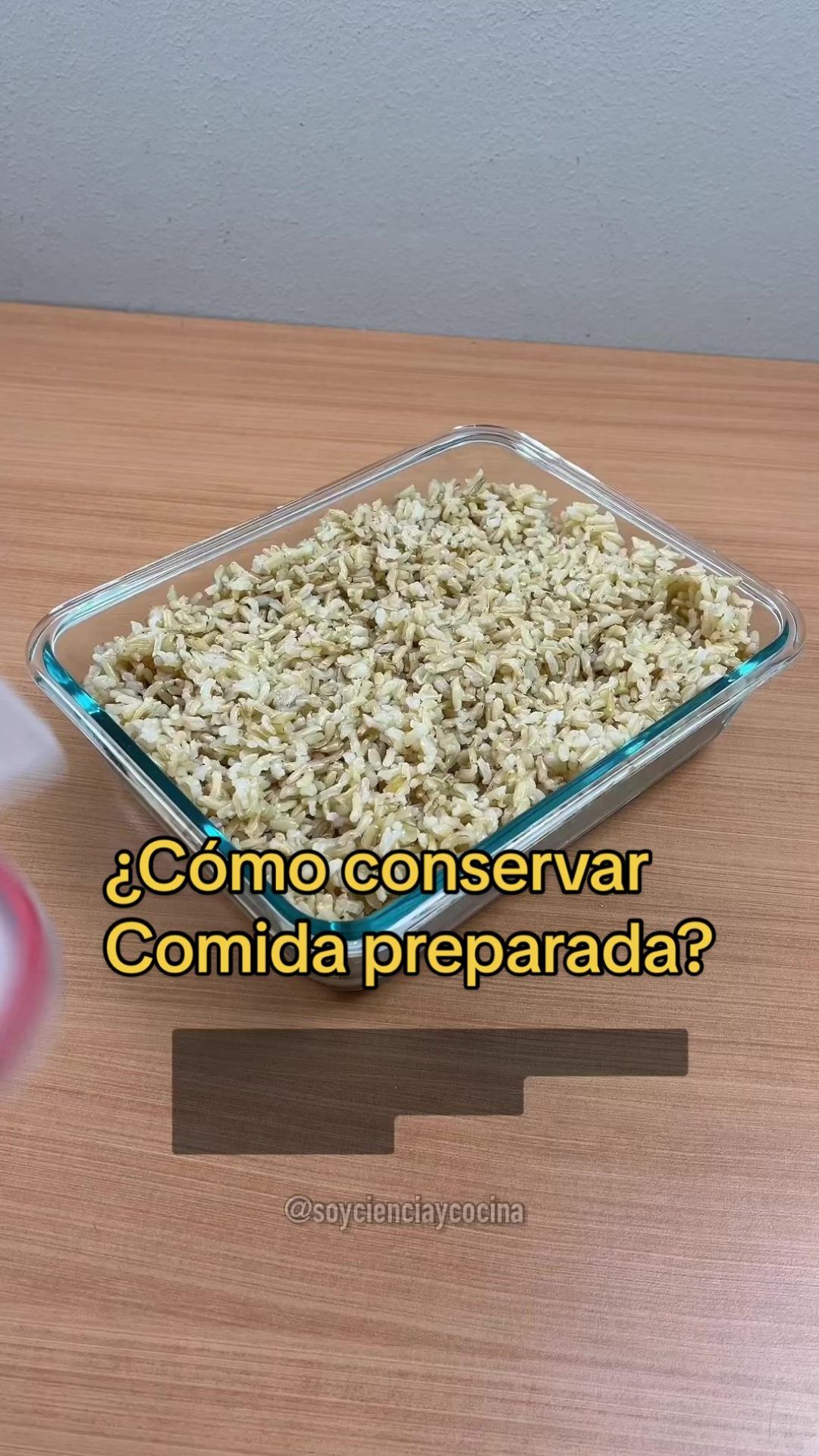 Cómo conservar sobras de comida correctamente y evitar que se echen a ...