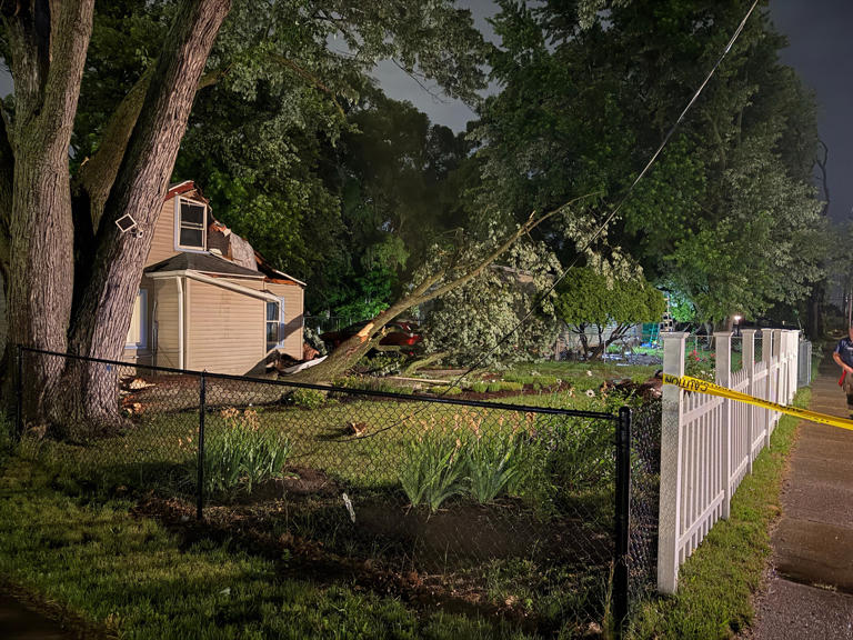 Thursday storms bring down trees across Mid-Michigan, leaving many ...