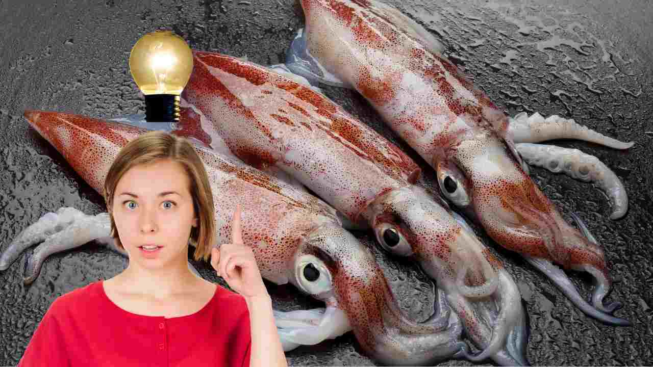 Il trucco furbo che nessuno conosce per pulire i calamari