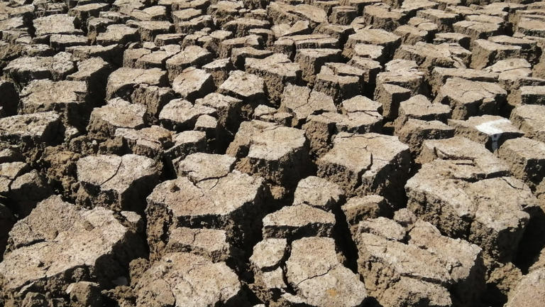 Much of the US is in serious drought, pushing wildfire readiness to ...