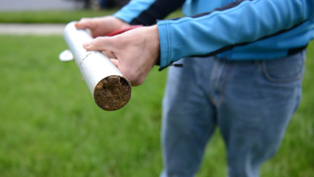 Scientists unveil first global map of vast underground fungal networks