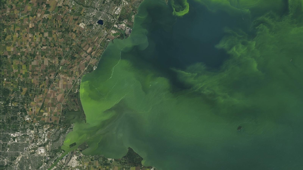 DWR begins summer monitoring for harmful algal blooms at Lake Oroville