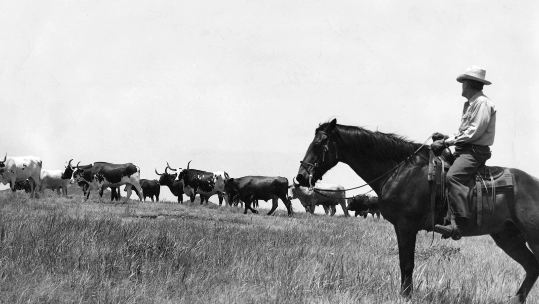 14 unique traditions and traits of Texas life