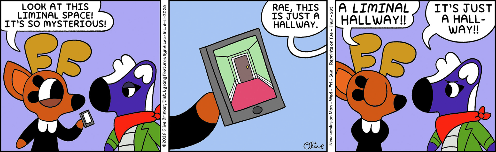 Rae the Doe by Olive Brinker