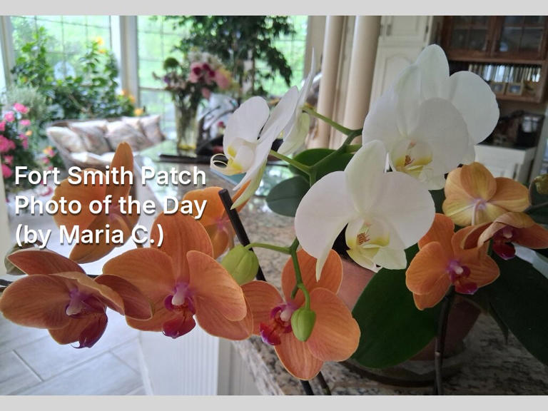 🌱 Patch AM: Why Fort Smith’s Bass Reeves trail suddenly costs $4.4 ...