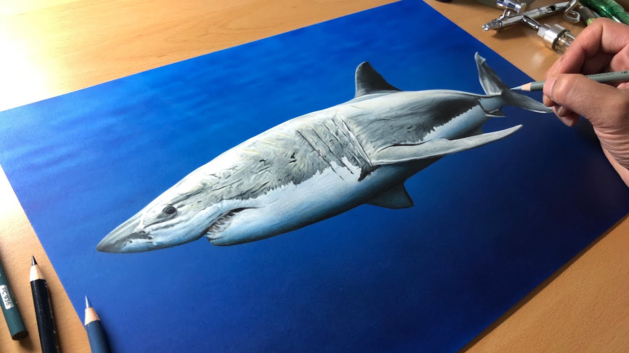 Great white shark drawing timelapse hyper realistic ocean artwork